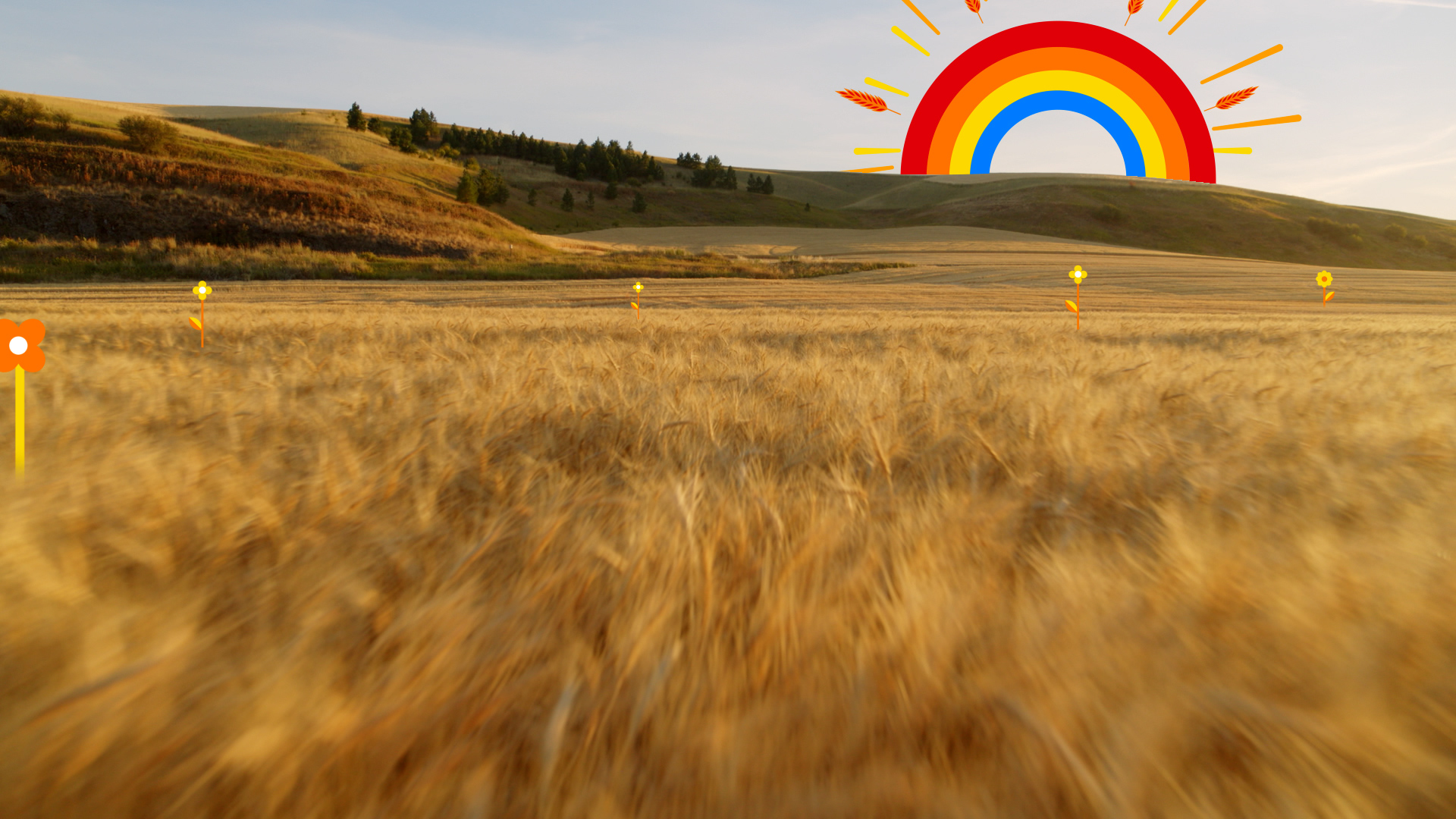 Sustainable fuels – SHV Energy