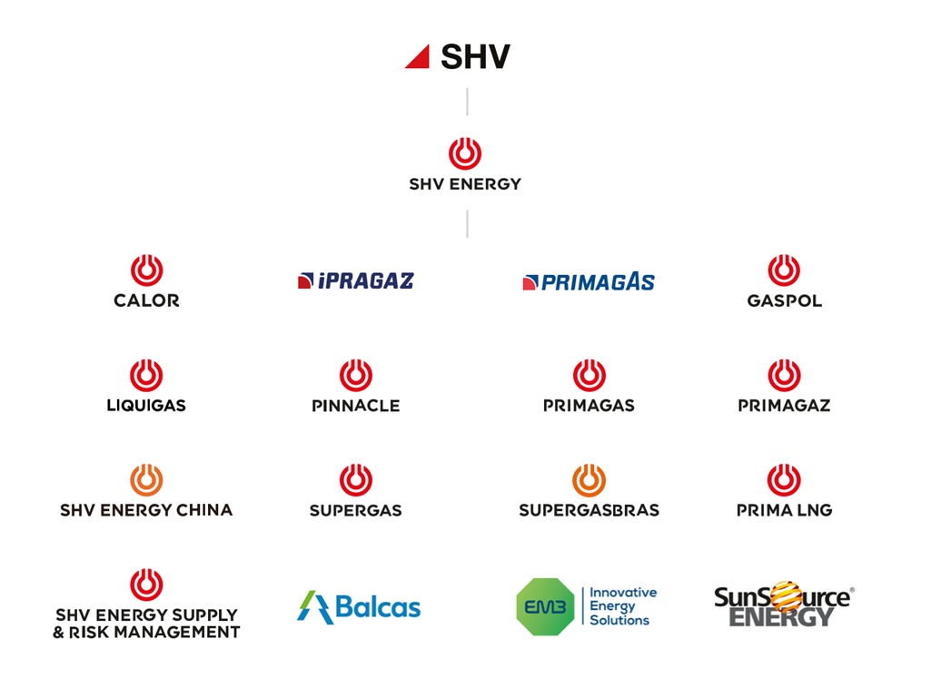 Structure – SHV Energy