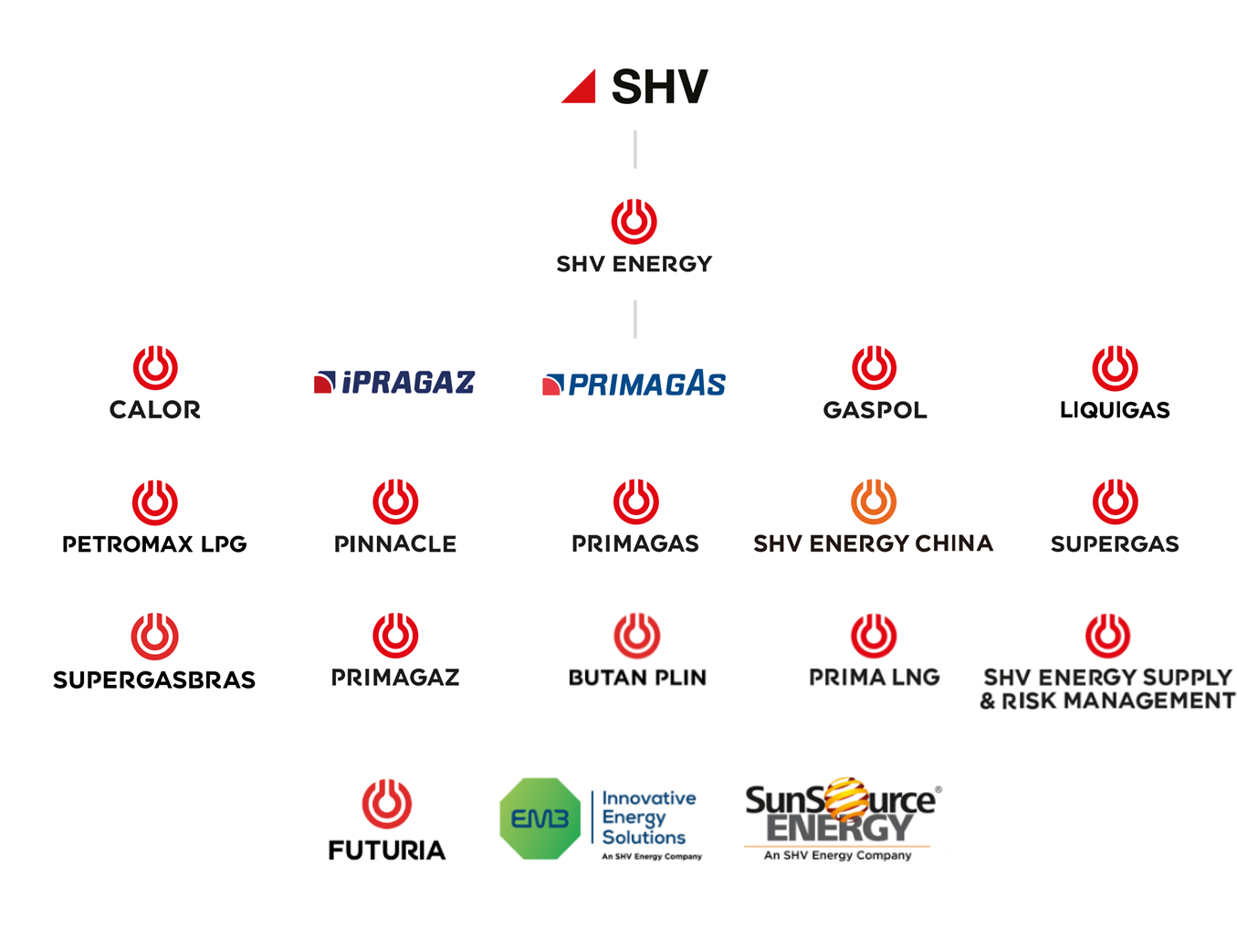 Structure – SHV Energy