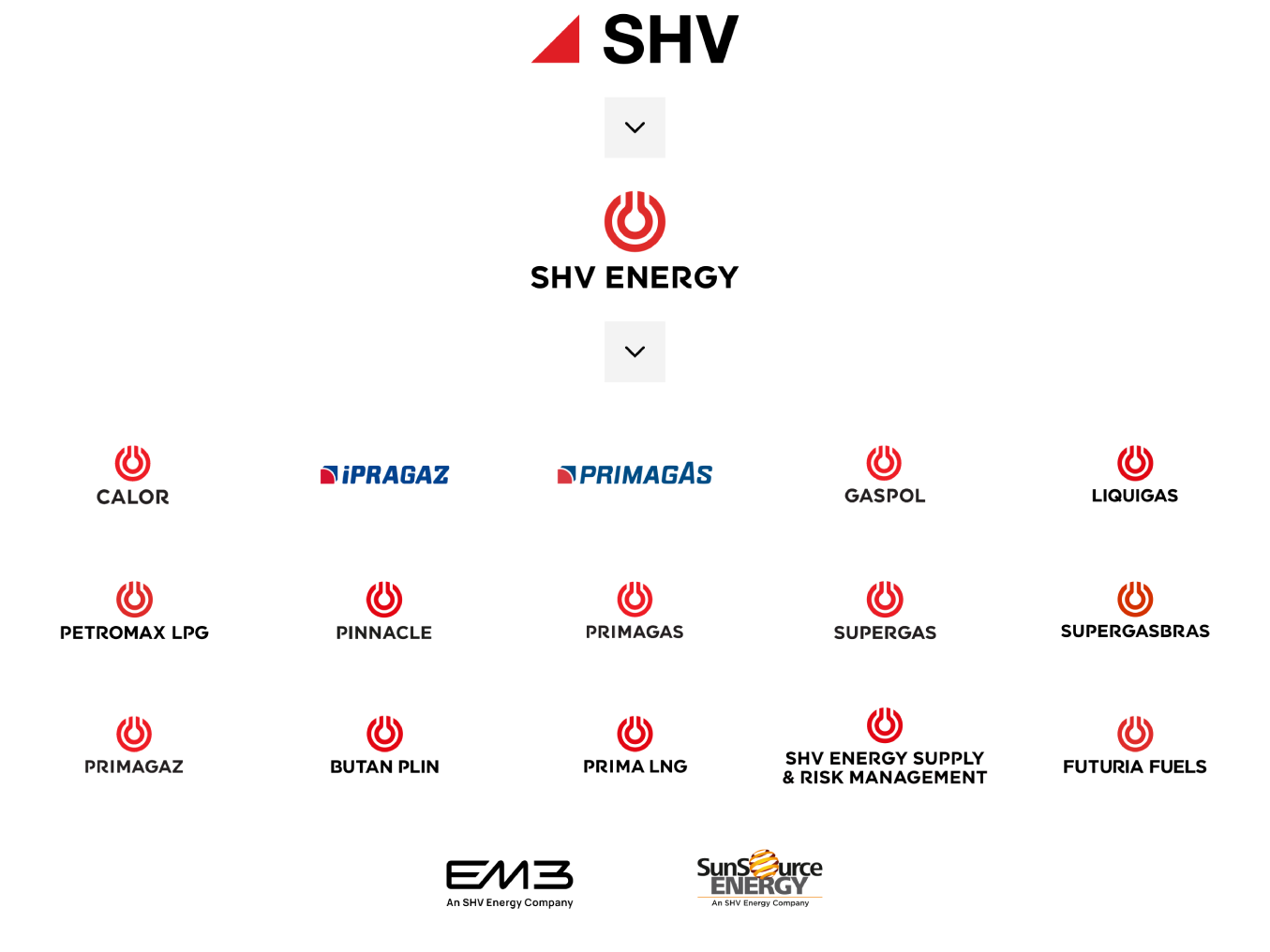 Structure – SHV Energy