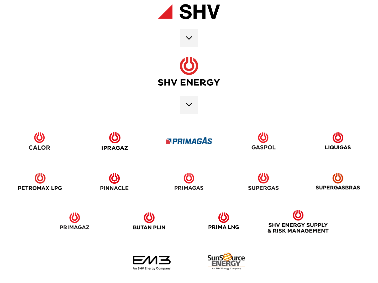 Structure – SHV Energy