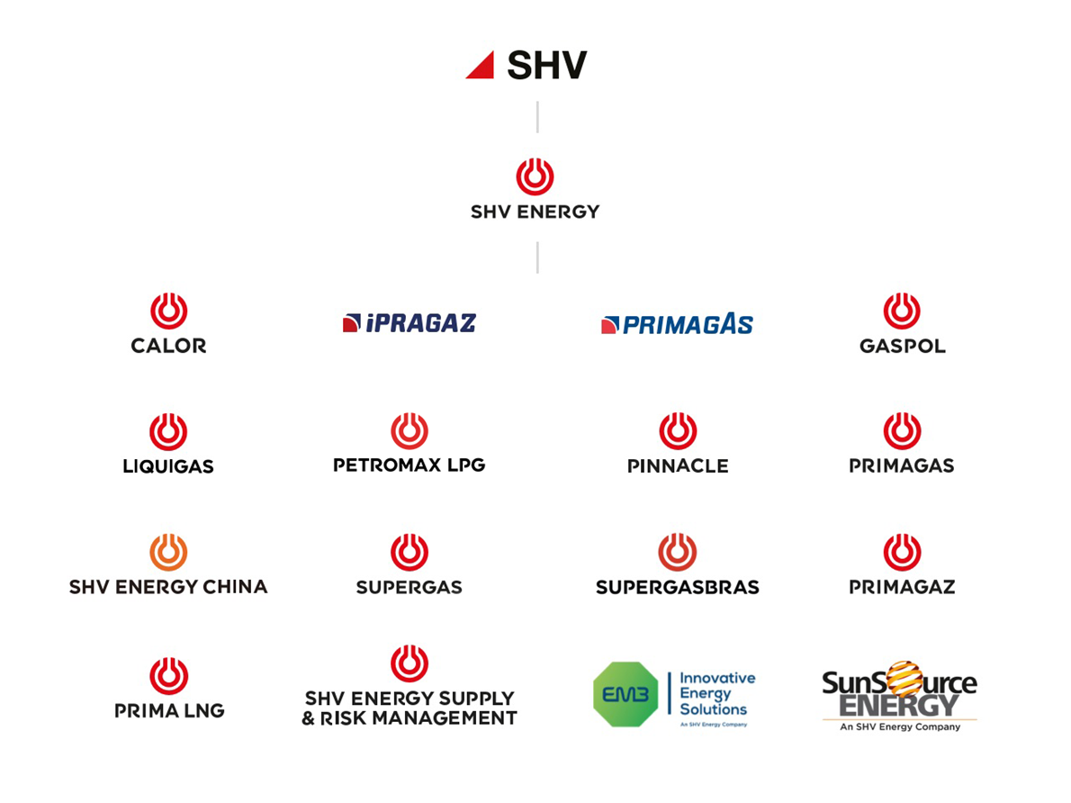 Structure – SHV Energy